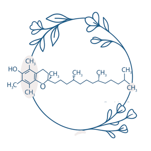 FertyBiotic Receptive - Fertypharm